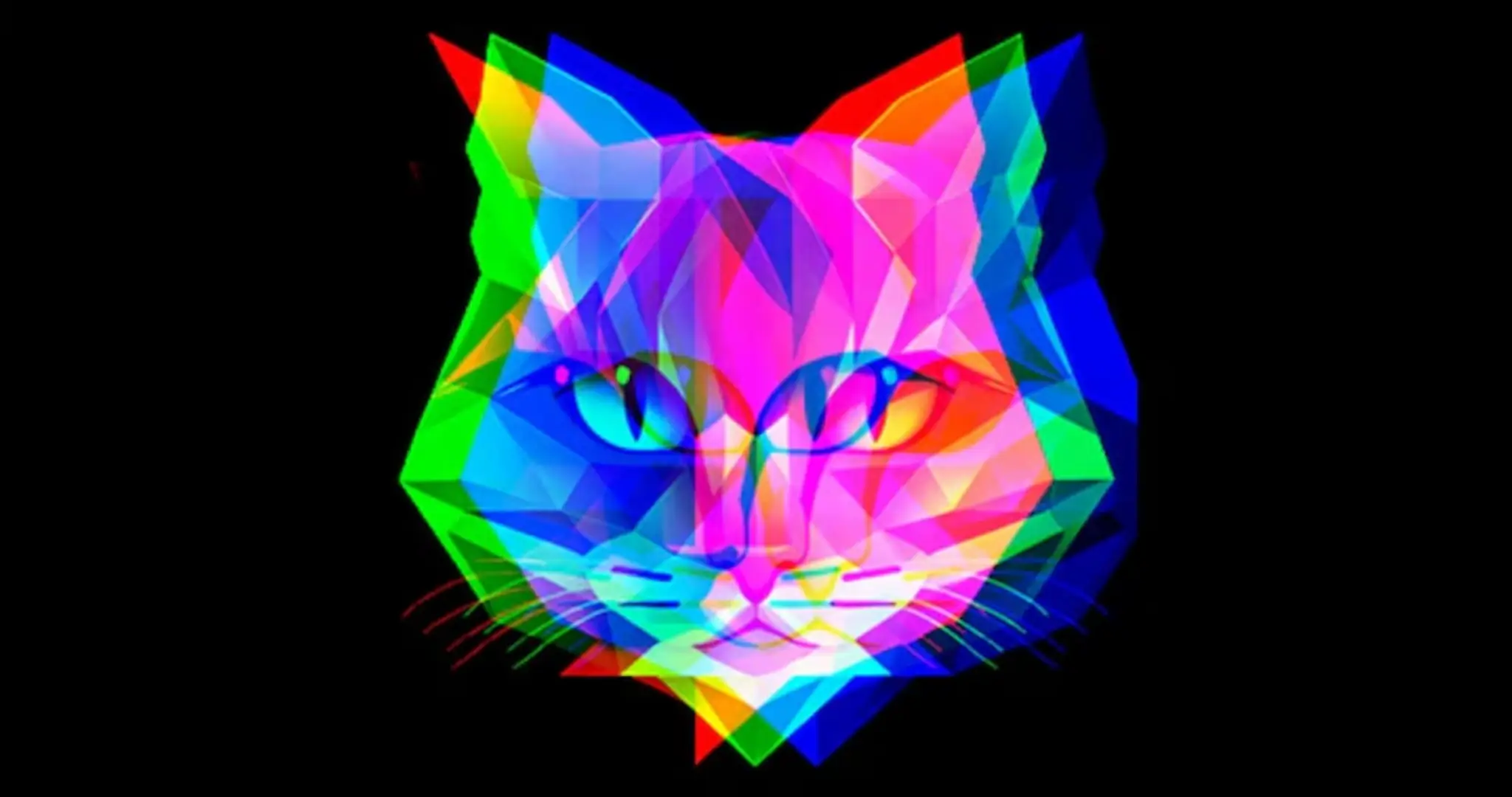 Catwatchful Exposed: Inside the Spyware App Google Hosted for Weeks - IMP.NEWS